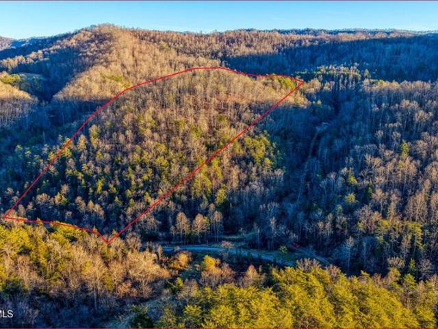 E Pumpkin Valley Rd, Eidson, TN 37731