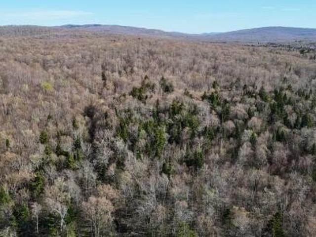 E Pinnacle Rd W, Belmont, NY 12920