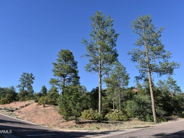 E Pine Ridge Dr Lot 19, Star Valley, AZ 85541