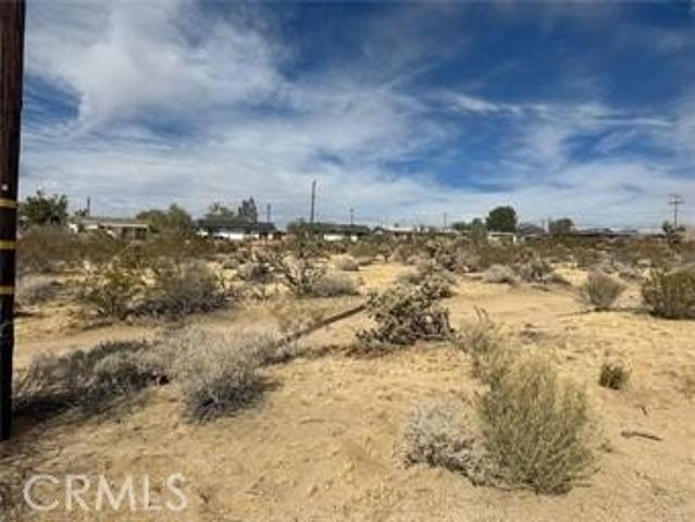 E Pkwy, Joshua Tree, CA 92252