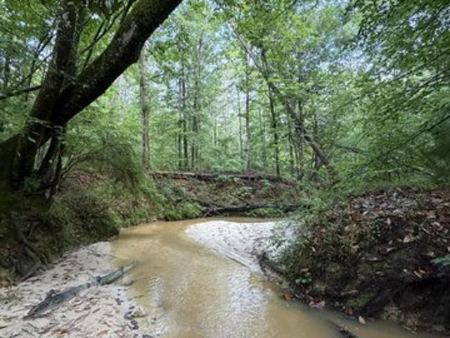 E Poor House Rd, Woodville, MS 39669