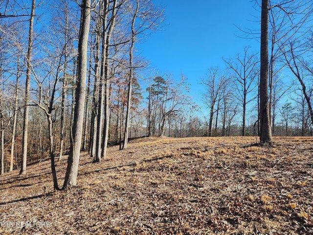 E Poplar Ln Lot 52, La Follette, TN 37766