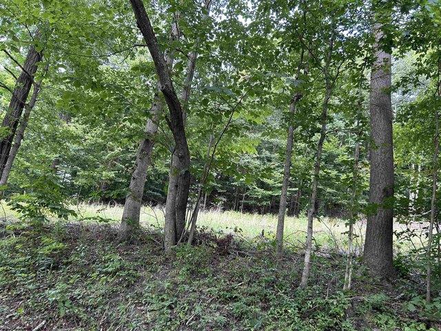 E Run Cir Lot 4, Four States, WV 26572