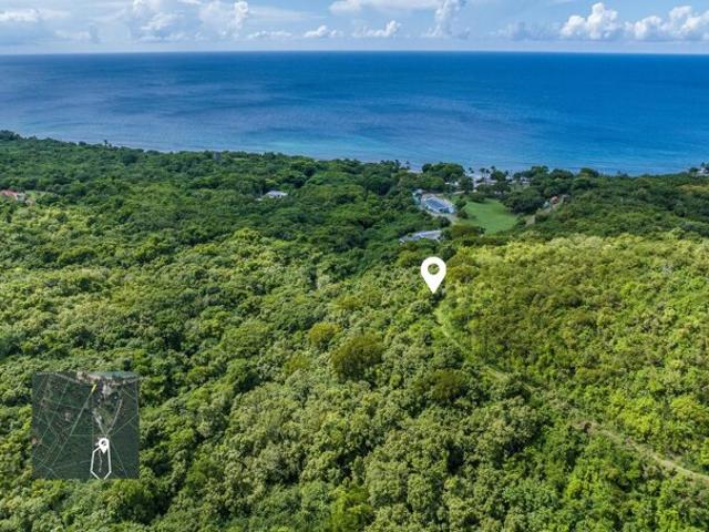 E Rem Cane Bay Nb, Saint Croix, Plot For Sale