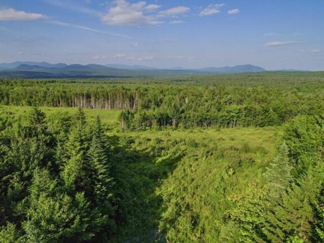 E Ridge Dr Lot,greenville, Plot For Sale