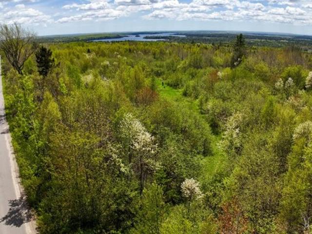 E Ridge Rd Lot,cooper, Plot For Sale