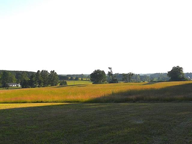 E Ritchie Rd, Lincoln, MI 48742