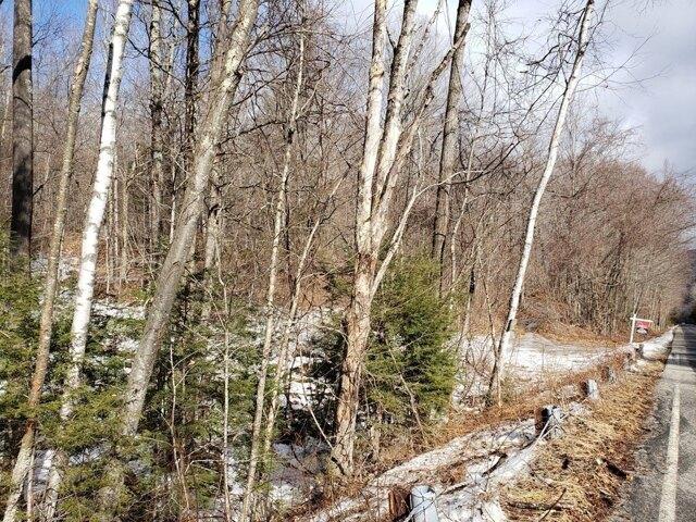 E River Map Rd Lot,chester, Plot For Sale