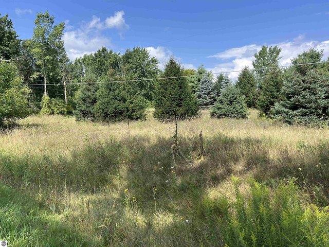 E River Rd, Mount Pleasant, MI 48858