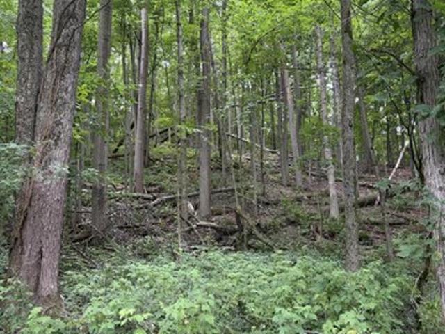 E Riverside Dr Lot B, Lowell, MI 49331