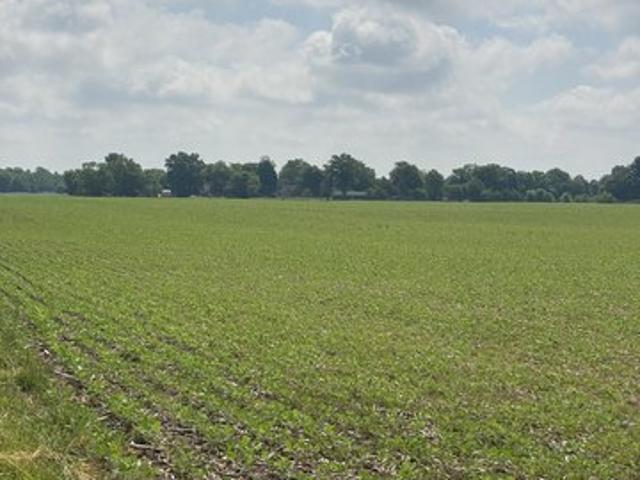 E State Road 236, North Salem, IN 46165