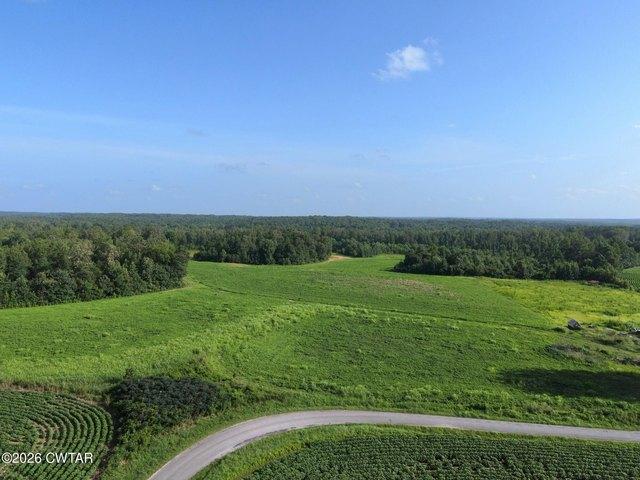 E Sulphur Springs Rd, Cedar Grove, TN 38321