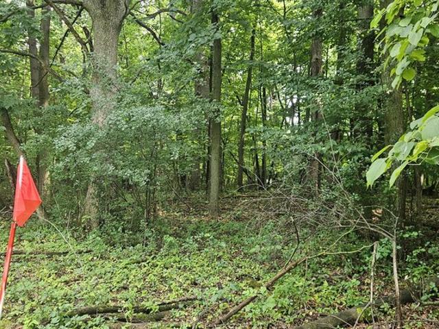 E S 42nd St, Greenfield, WI 53221