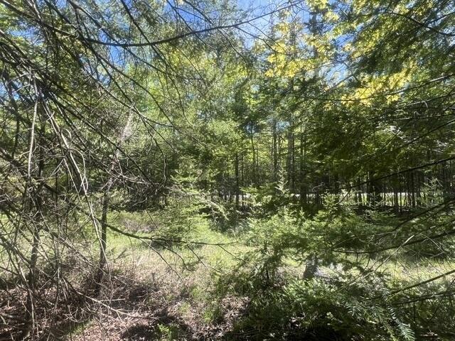 E S Caribou Lake Rd, De Tour Village, MI 49725