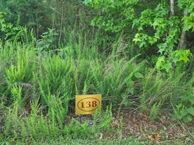 E Shore Dr Lot 138, Rockwood, TN 37854