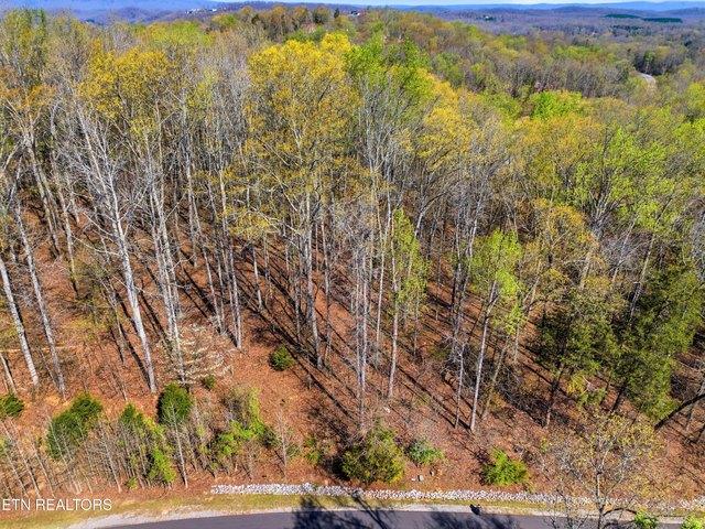 E Shore Dr Lot 141, Rockwood, TN 37854