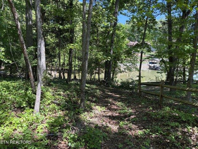 E Shore Dr, Rockwood, TN 37854