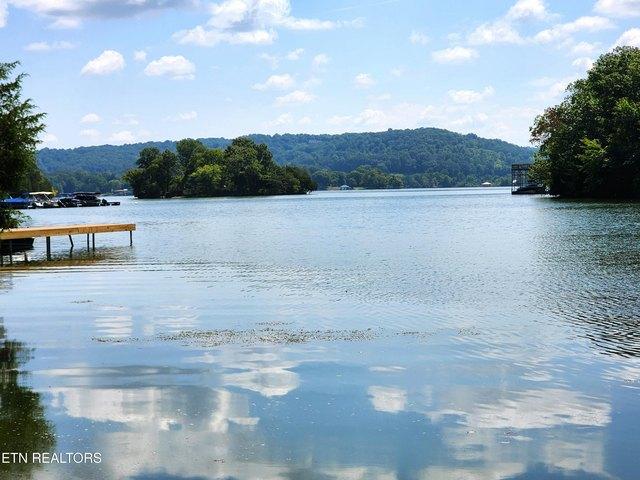 E Shore Dr, Rockwood, TN 37854