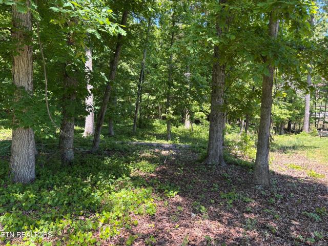 E Shore Drive, Rockwood, TN 37854