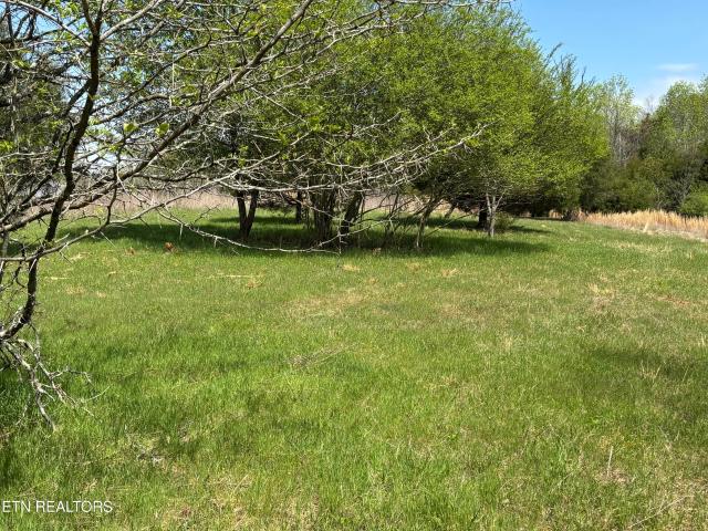 E Shore Drive, Rockwood, TN 37854