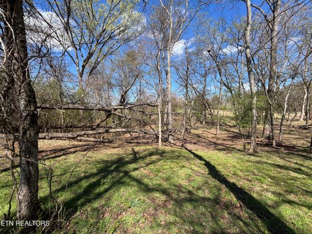E Shore Drive, Rockwood, TN 37854