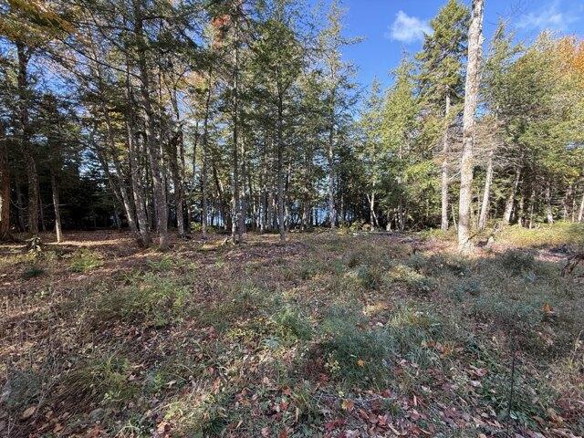 E Shore Rd, Glenwood Plt, Plot For Sale