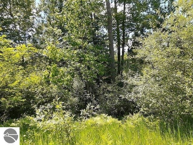 E Side Dr, Lupton, MI 48635