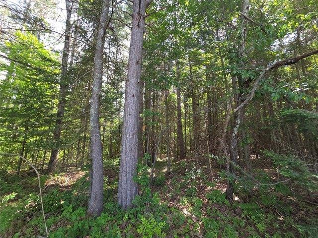 E Solberg Lake Rd Lot 1, Phillips, WI 54555