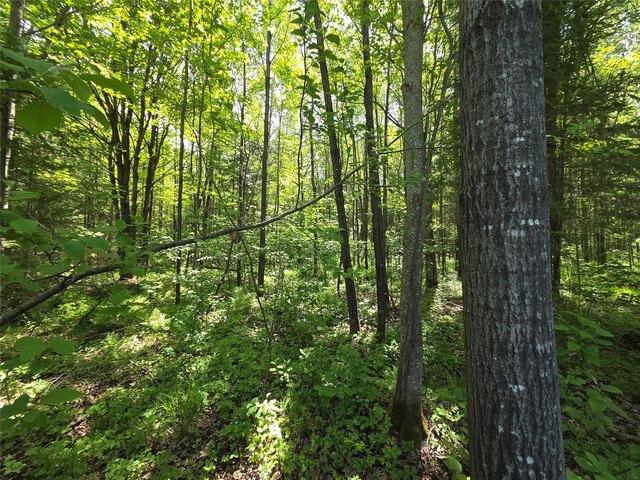 E Solberg Lake Rd Lot 5, Phillips, WI 54555