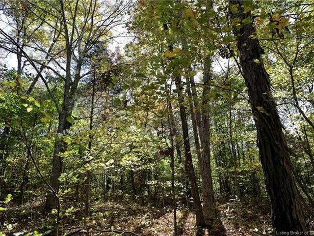 E Temple Rd, Marengo, IN 47140
