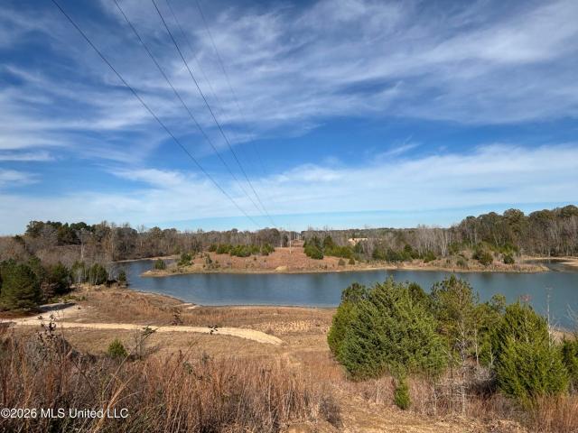 E U.S. 49, Bentonia, MS 39040