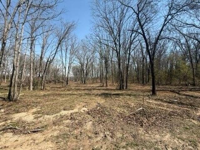 E U S # 160, West Plains, MO 65775