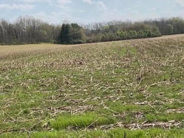 E US Highway E, Circleville, OH 43113