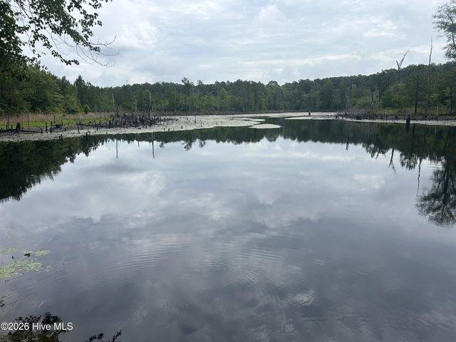 E V Hogan Dr, Rockingham, NC 28379