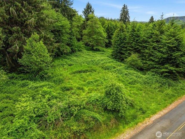 E Valley Rd, Skamokawa, WA 98647