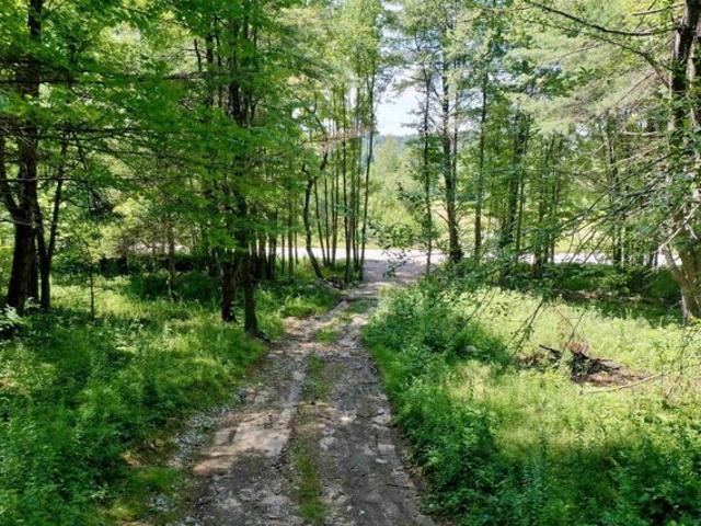 E Washington Rd, Hillsborough, Plot For Sale
