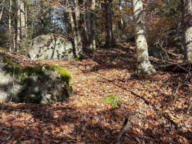 E Washington Rd Lot, Washington, Plot For Sale