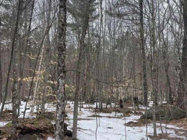 E Washington Rd Lot, Washington, Plot For Sale