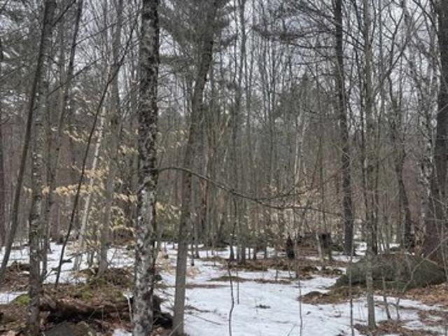 E Washington Rd Lot 13 9, Washington, NH 03280