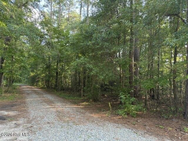 E Wilmington St Lot 4, Burgaw, NC 28425