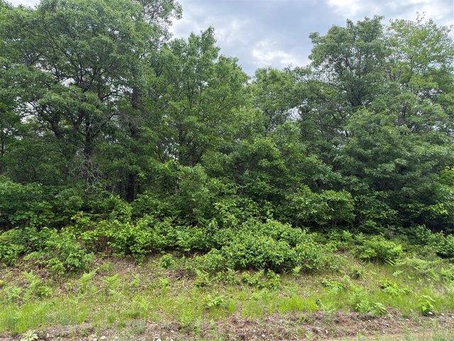 E Wilderness Ct Lot 53, Barnes, WI 54873