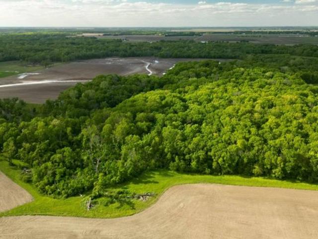 E 1800 Rd N, Taylorville, IL 62568