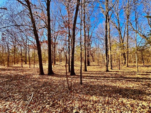 E 1140 Rd Lot 3, Porum, OK 74455