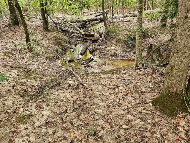E 28 Acres Dallas 203
