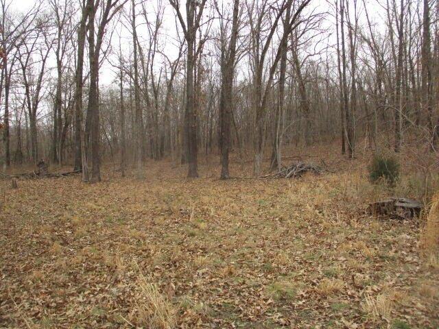 E 202 Rd, Wyandotte, OK 74370