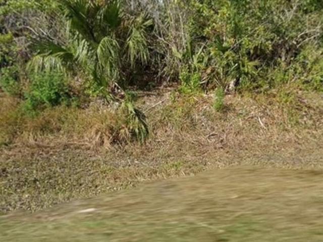 E 58th Ave Lot 41, Naples, FL 34120