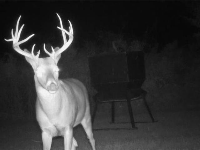 E 660th Ave, Mulberry, KS 66756