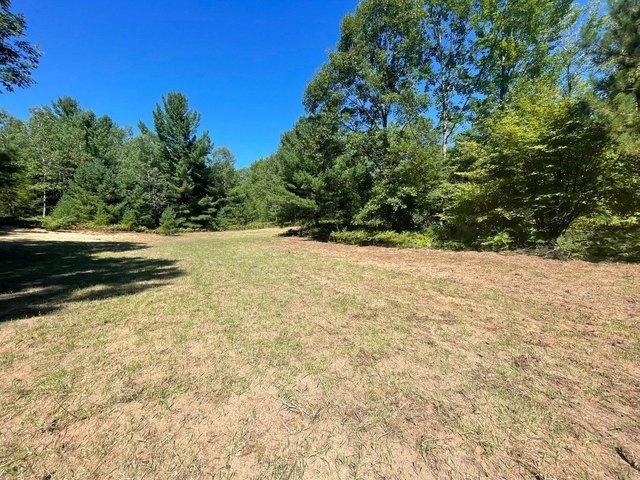 E 8 Mile Rd, Luther, MI 49656