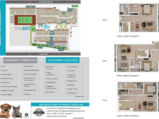Echo 116 Apartment Homes 1 Bedroom Apartment for Rent at 1727 W Glenoaks Ave, Anaheim, CA 92801 North Euclid
