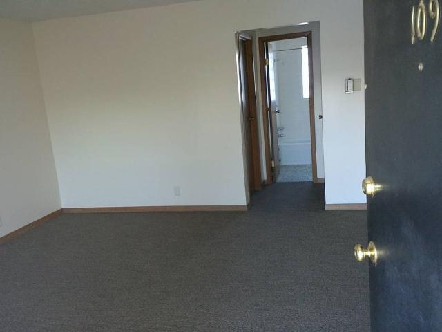Echo 1 Bedroom Apartment for Rent at 4817 Holmes St, Omaha, NE 68117 Q Merchants